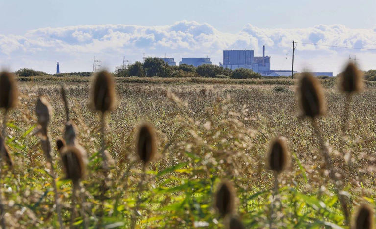 South Brooks Solar Farm in Lydd, Romney Marsh, set to be Kent’s biggest ...
