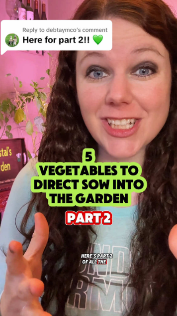 How to grow a vegetable garden from seed