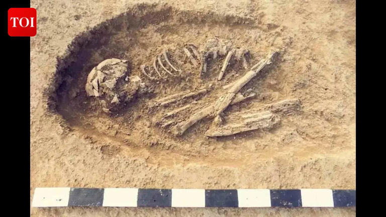 Japan’s earliest ‘humans’ may not have been human after all: New study ...
