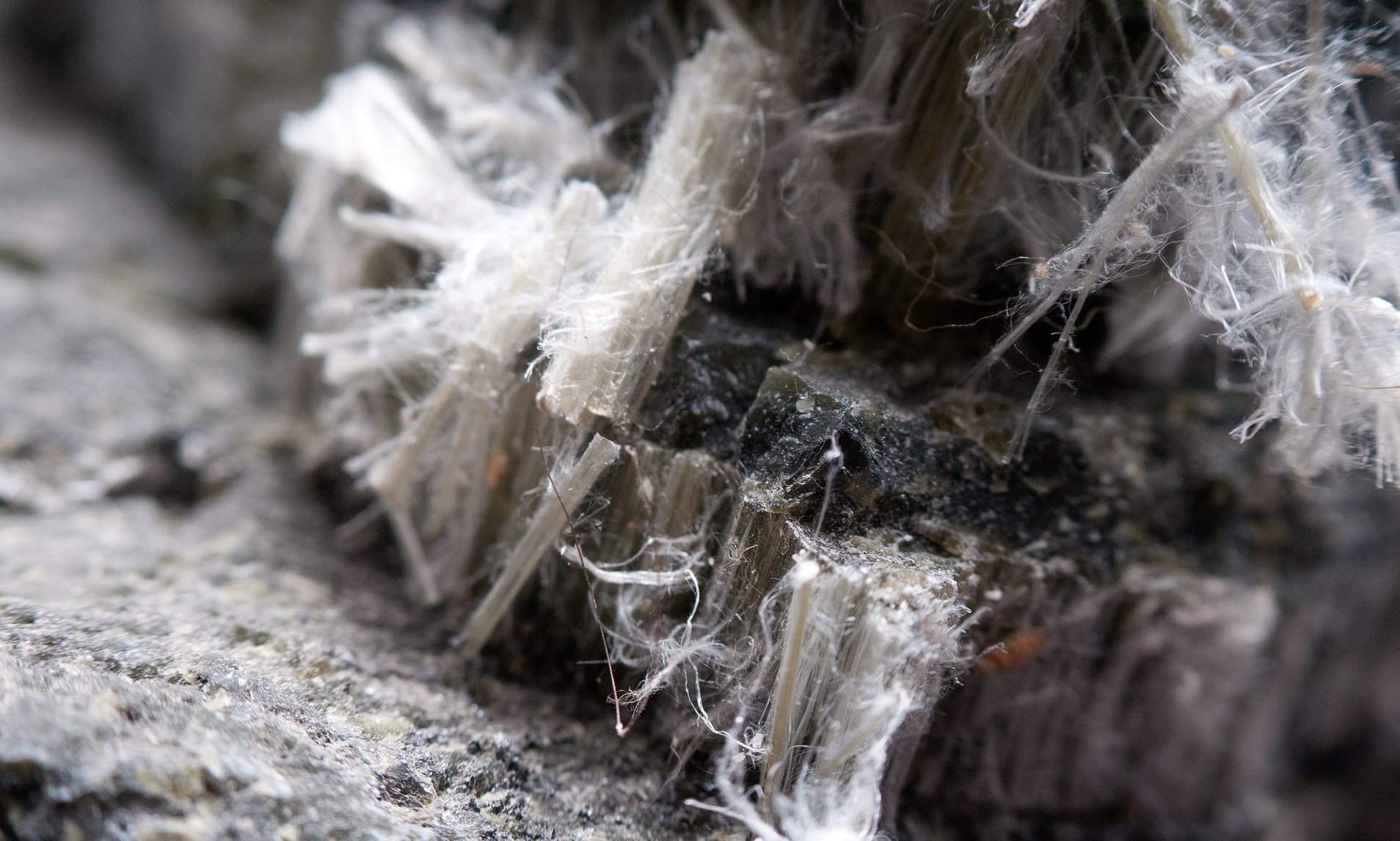 Asbestos time-bomb: Toxic mineral may be killing four times more people ...