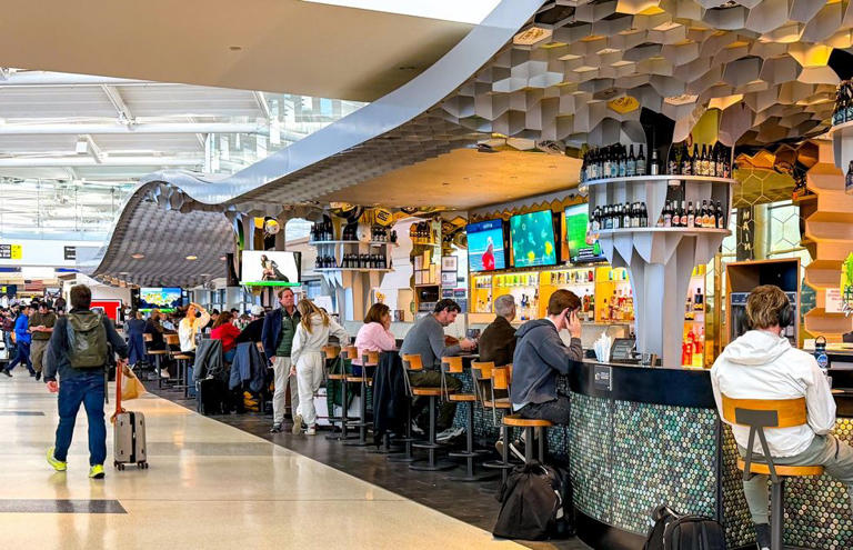 Drunk and abusive passengers face flying ban under Labour’s national ...