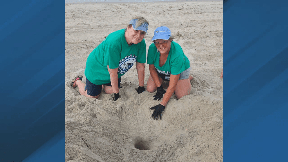 Emerald Isle Sea Turtle Patrol celebrates new logger head nests found ...