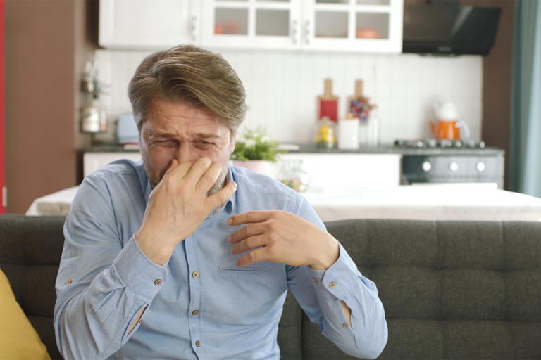 Portland couple sues neighbor over foul stench wafting from tiny home ...