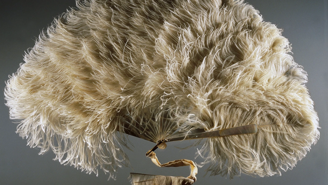 Ostriches through time and culture