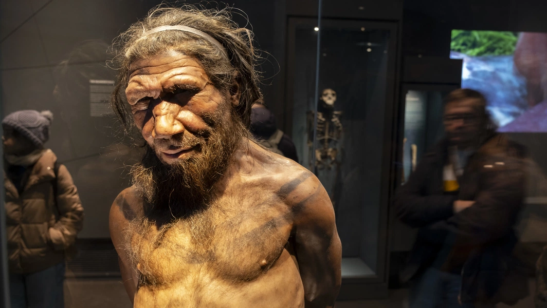 Neanderthal DNA linked to weaker defenses against DNA viruses