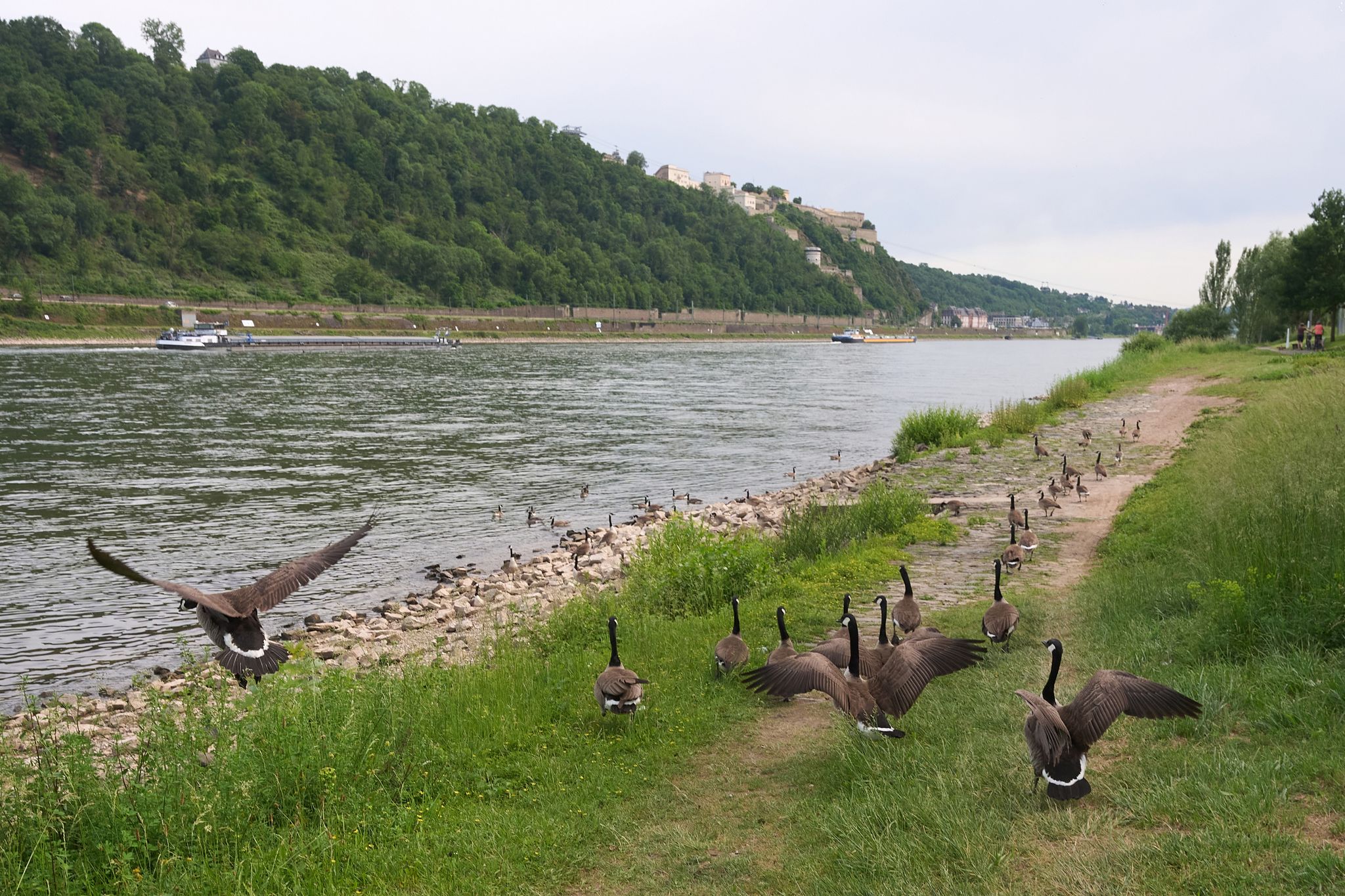 Ruhiges Wetter zum Wochenstart an Rhein und Saar