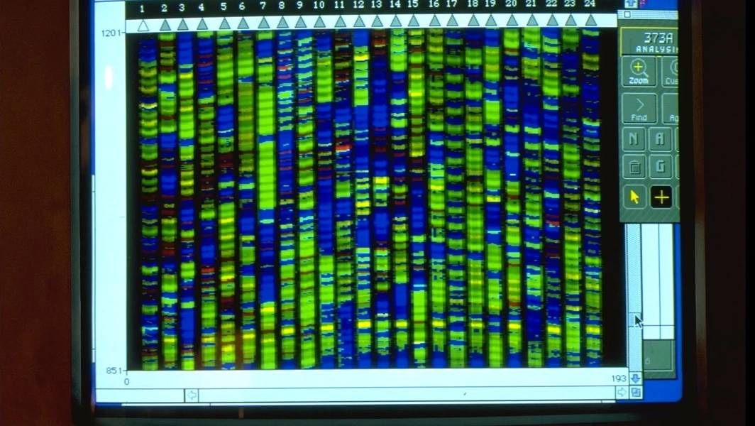 Genetics is more than just one gene