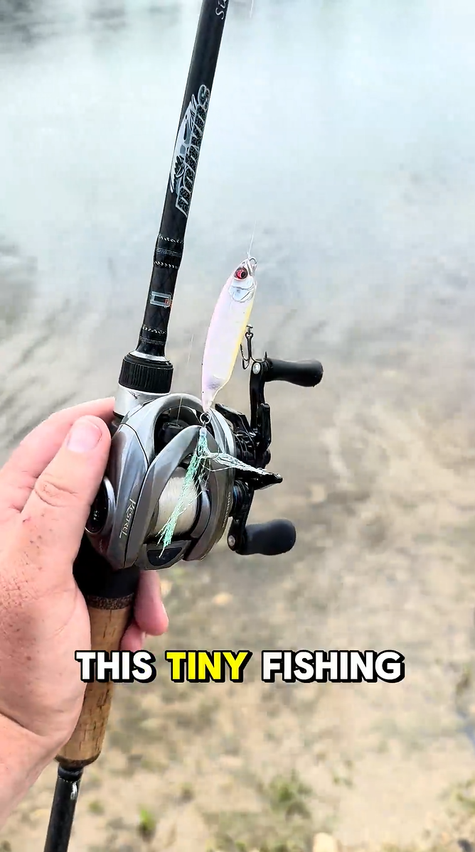 Can this tiny fishing lure catch big bass?