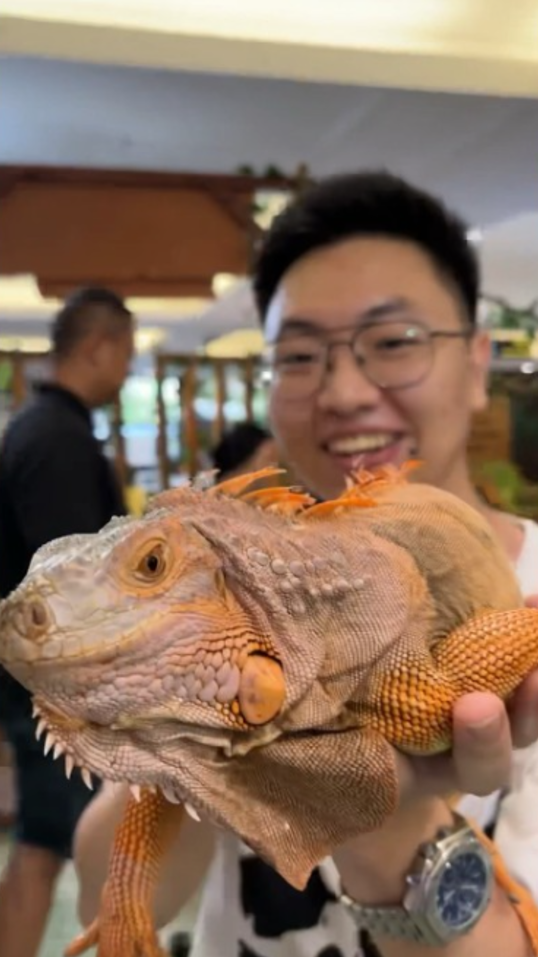 Pengalaman bertemu hewan dari jarak dekat yang terasa seperti di zaman ...
