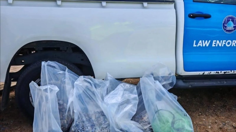 KZN mussel poaching bust: Over 6,500 shellfish seized near Durban