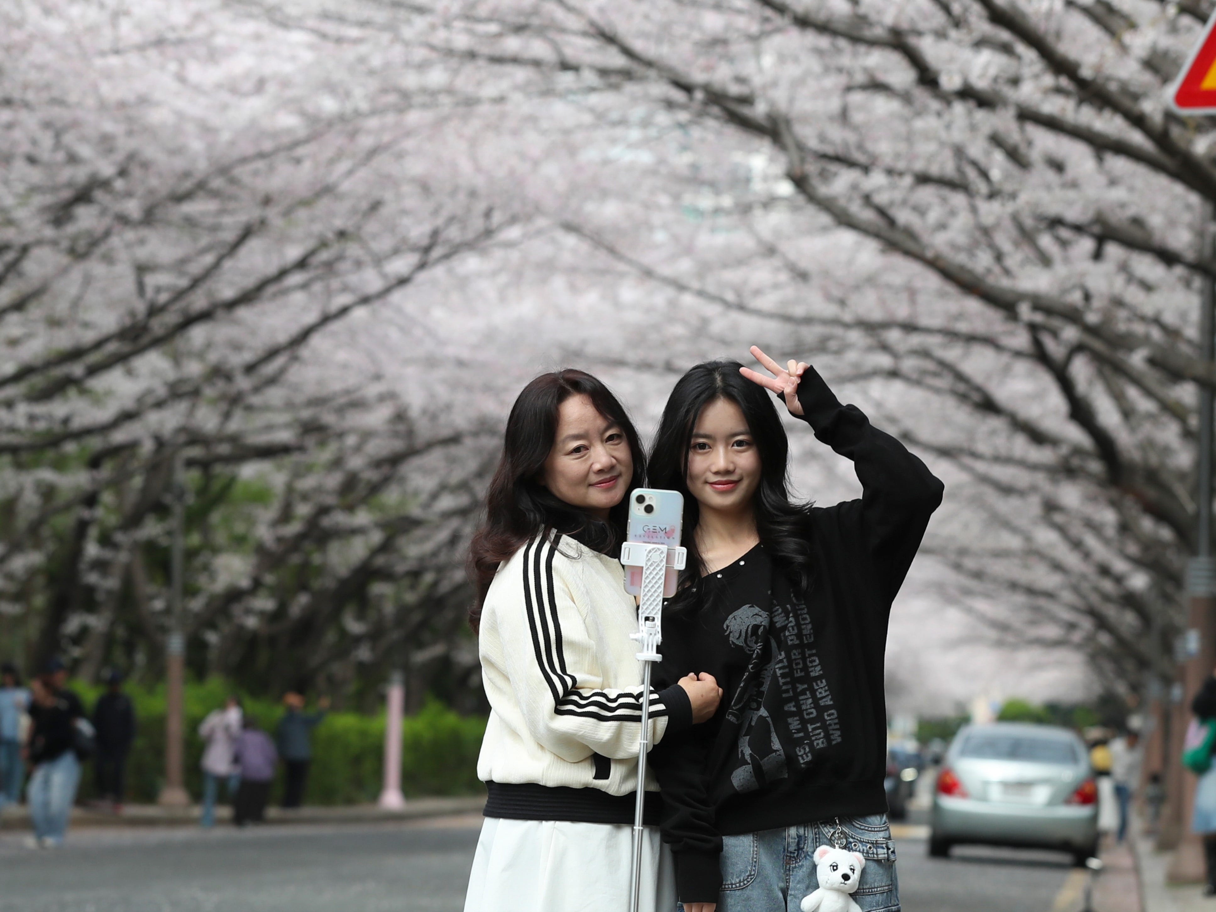 An app made viral by K-pop's top stars asks people to share what AI can ...