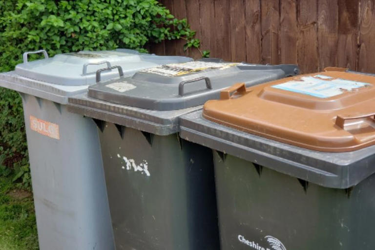 Binning item in black or recycling bin will see households in England ...