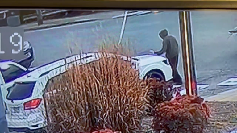 Asheville man pleads guilty in fatal 2024 crosswalk shove, gets probation