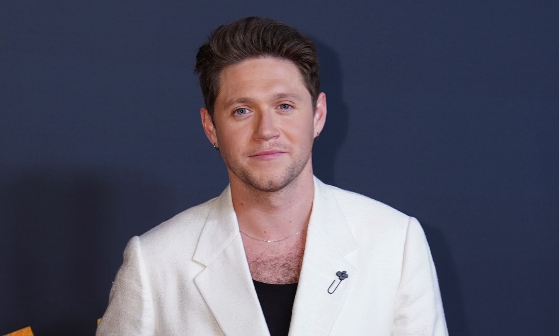 Niall Horan admits he's envious of One Direction bandmate Harry Styles ...