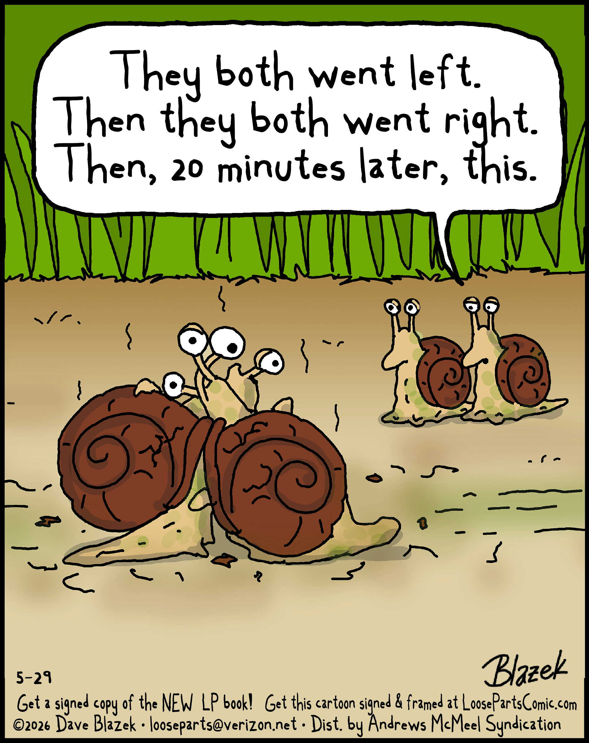 Loose parts by Dave Blazek