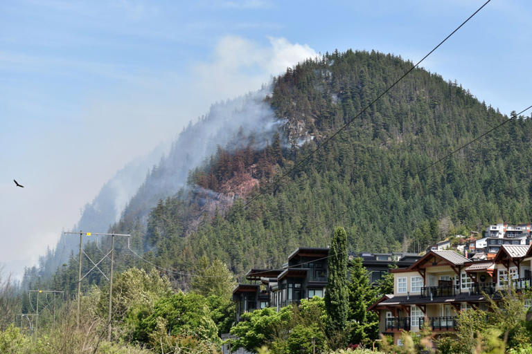 Sudden outbreak of wildfires threatens to disrupt Canada’s oil sands