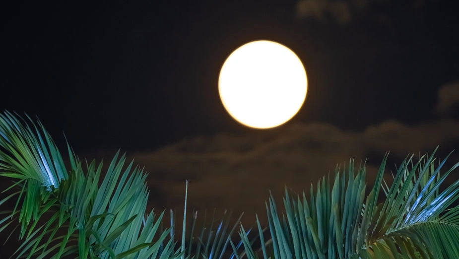 Astrologers outline post-blue moon shifts for key zodiac signs