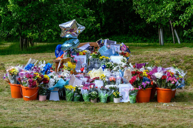 Denny and Dunipace community pay tribute to tragic drowning teen ...
