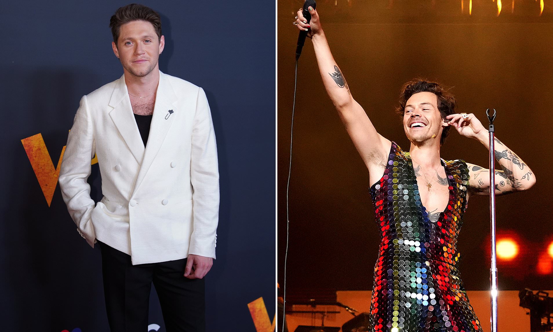 Niall Horan admits he's envious of One Direction bandmate Harry Styles ...