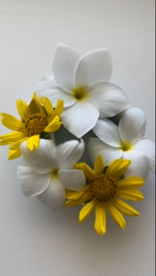 Turning hyperfocus into artistic air dry clay crafts