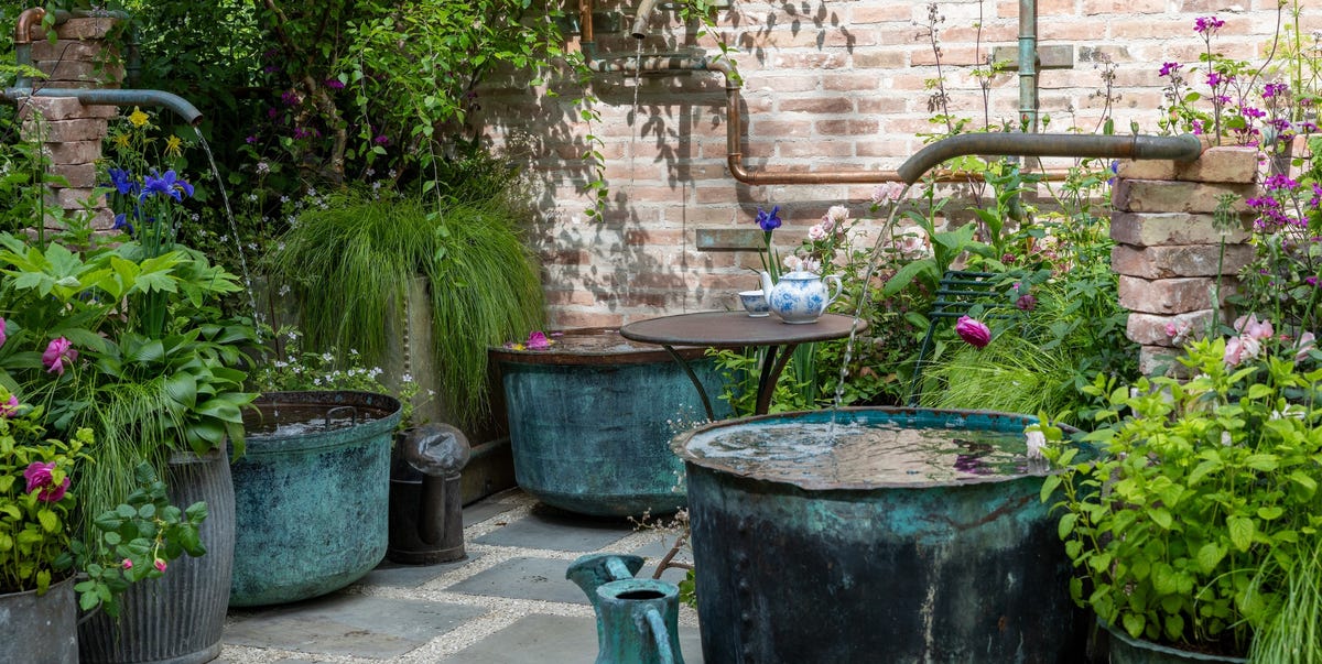 I have a small London garden — these Chelsea Flower Show ideas changed ...