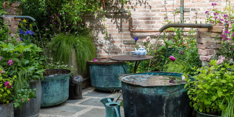 I have a small London garden — these Chelsea Flower Show ideas changed ...