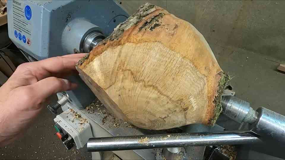 Watch how the same oak branch takes on a completely different shape