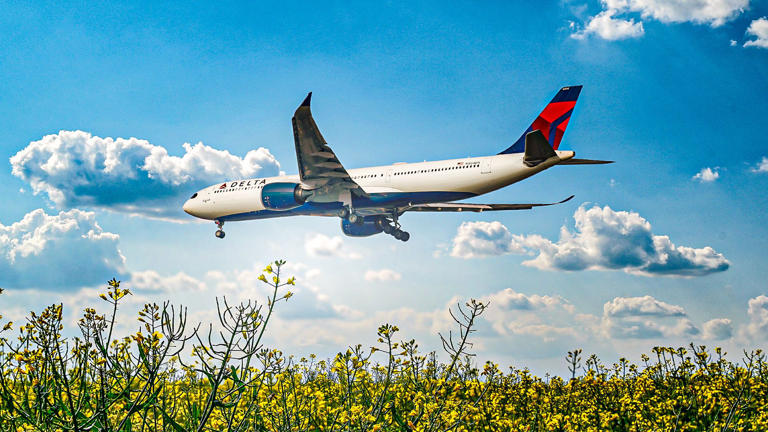 Why Delta Air Lines isn't betting its long-haul future with Airbus entirely