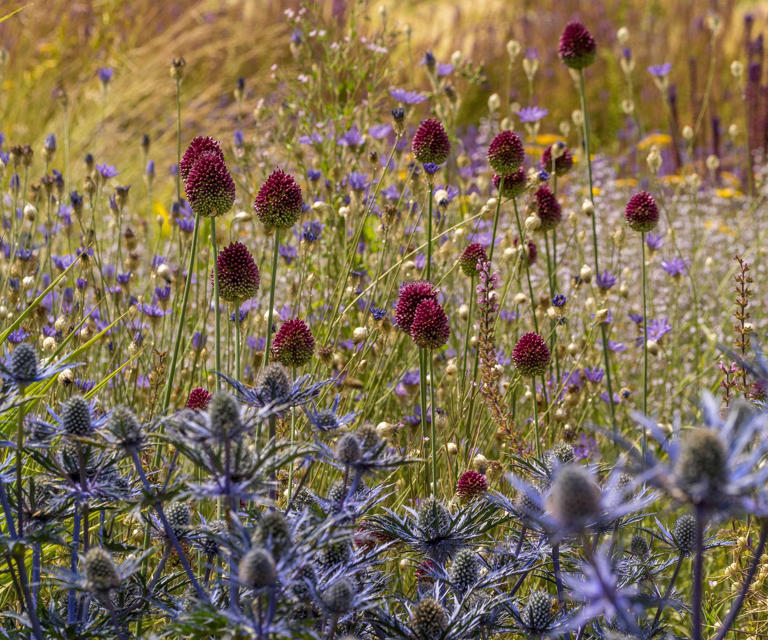 Designers are ditching all-white gardens – these gentler color palettes ...