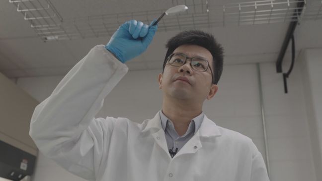 University of Maryland team nears breakthrough in fight against plastic ...