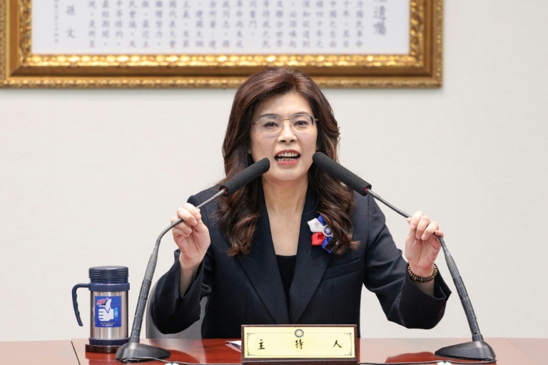 Taiwan opposition leader hopes to 'gain deeper trust' from US