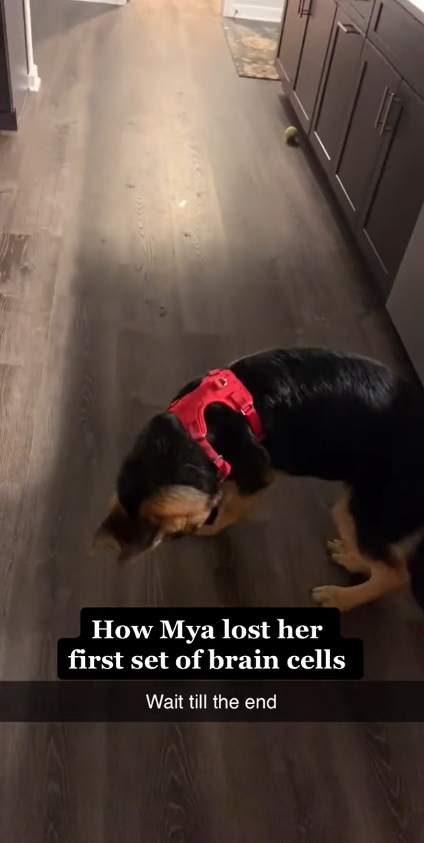 How Mya lost her first set of brain cells