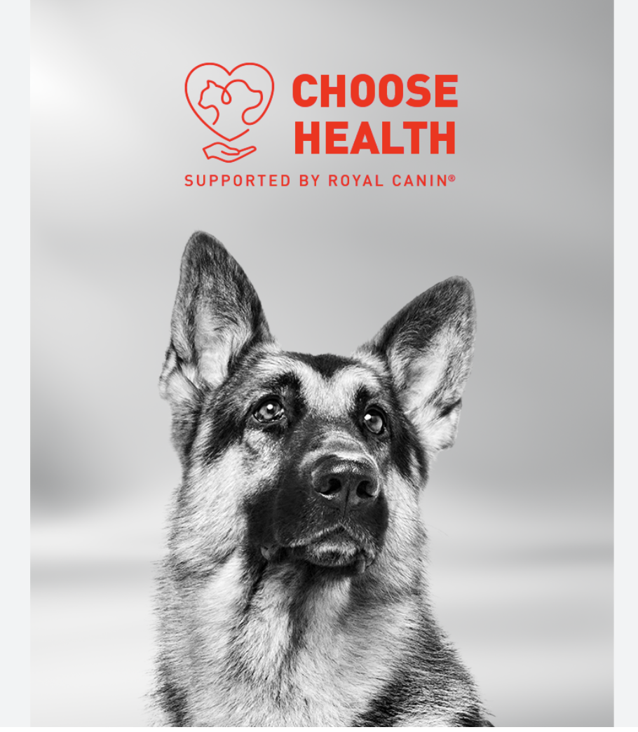 World Dog Show 2026: Royal Canin ed ENCI insieme per promuovere l ...