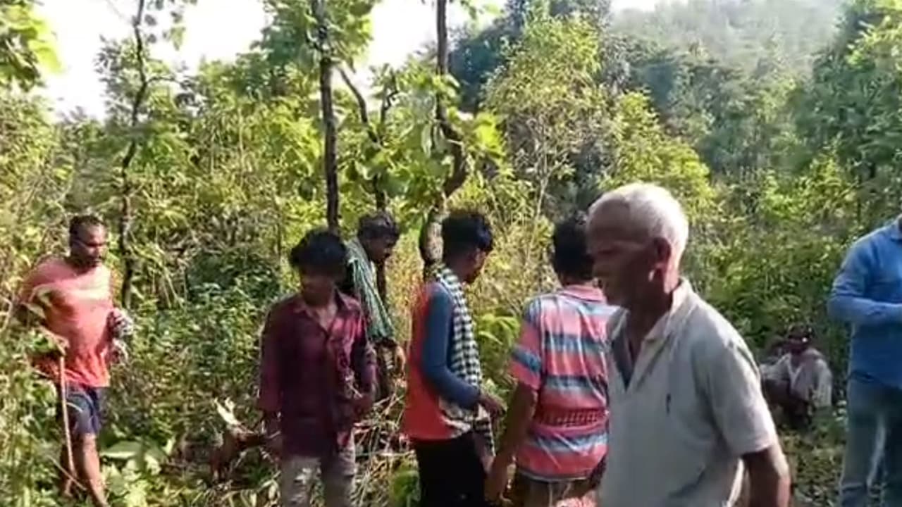 Odisha: Tiger kills, partially eats man near Similipal Tiger Reserve