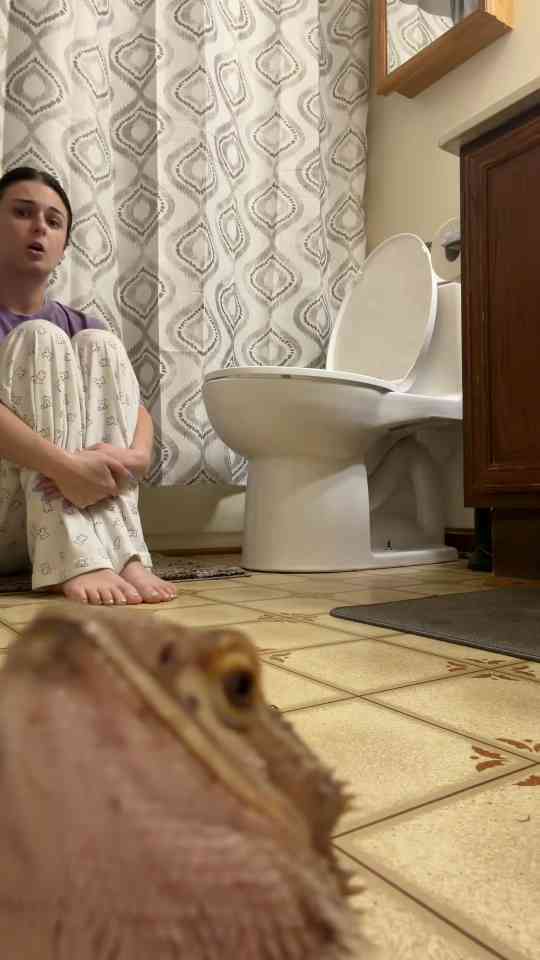 When your bearded dragon shows its diva personality
