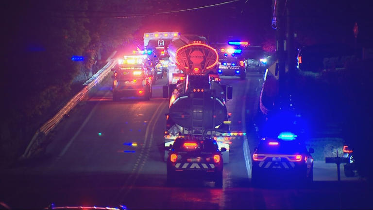 Police: Man stabbed Lyft driver on I-79 in Robinson Township before ...