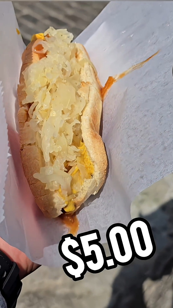 Dirty water dog at DUMBO