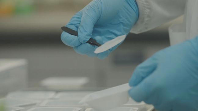 University of Maryland team nears breakthrough in fight against plastic ...