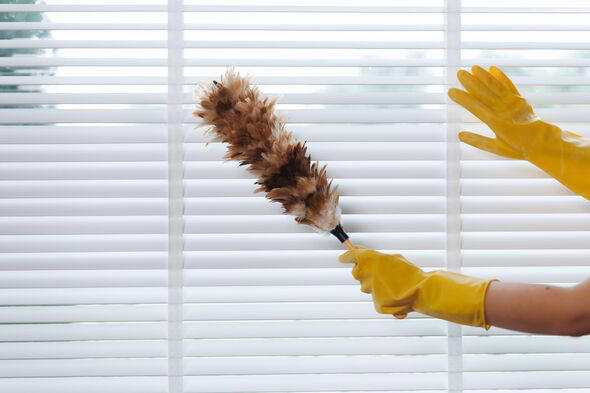 Dust won't stick to blinds and skirting boards when wiped with 1 common ...
