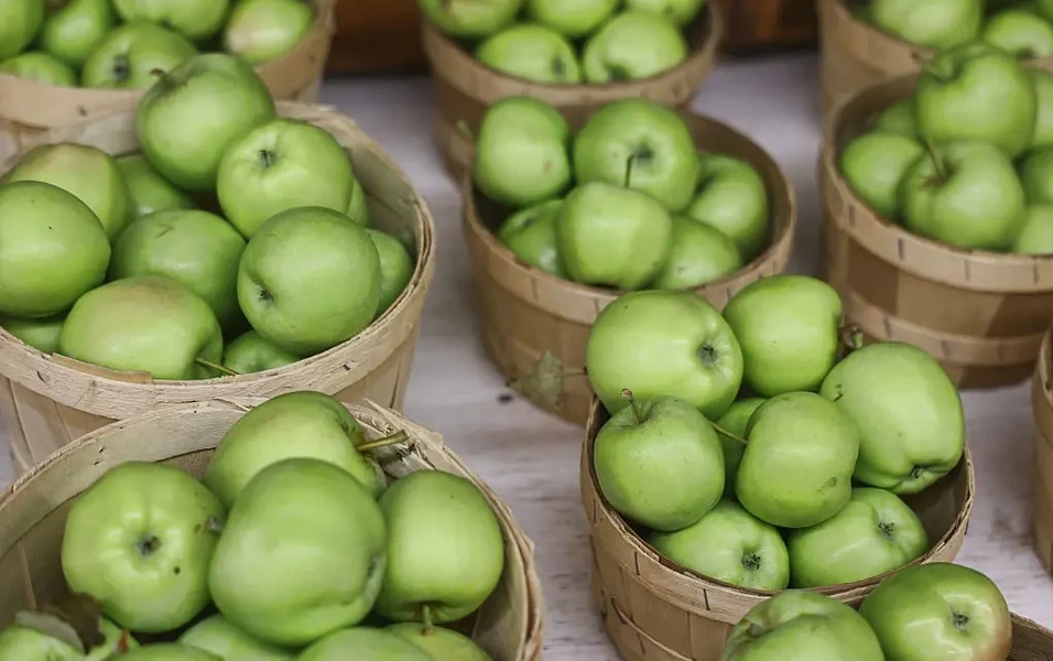 Cozy apple treats to warm your fall days