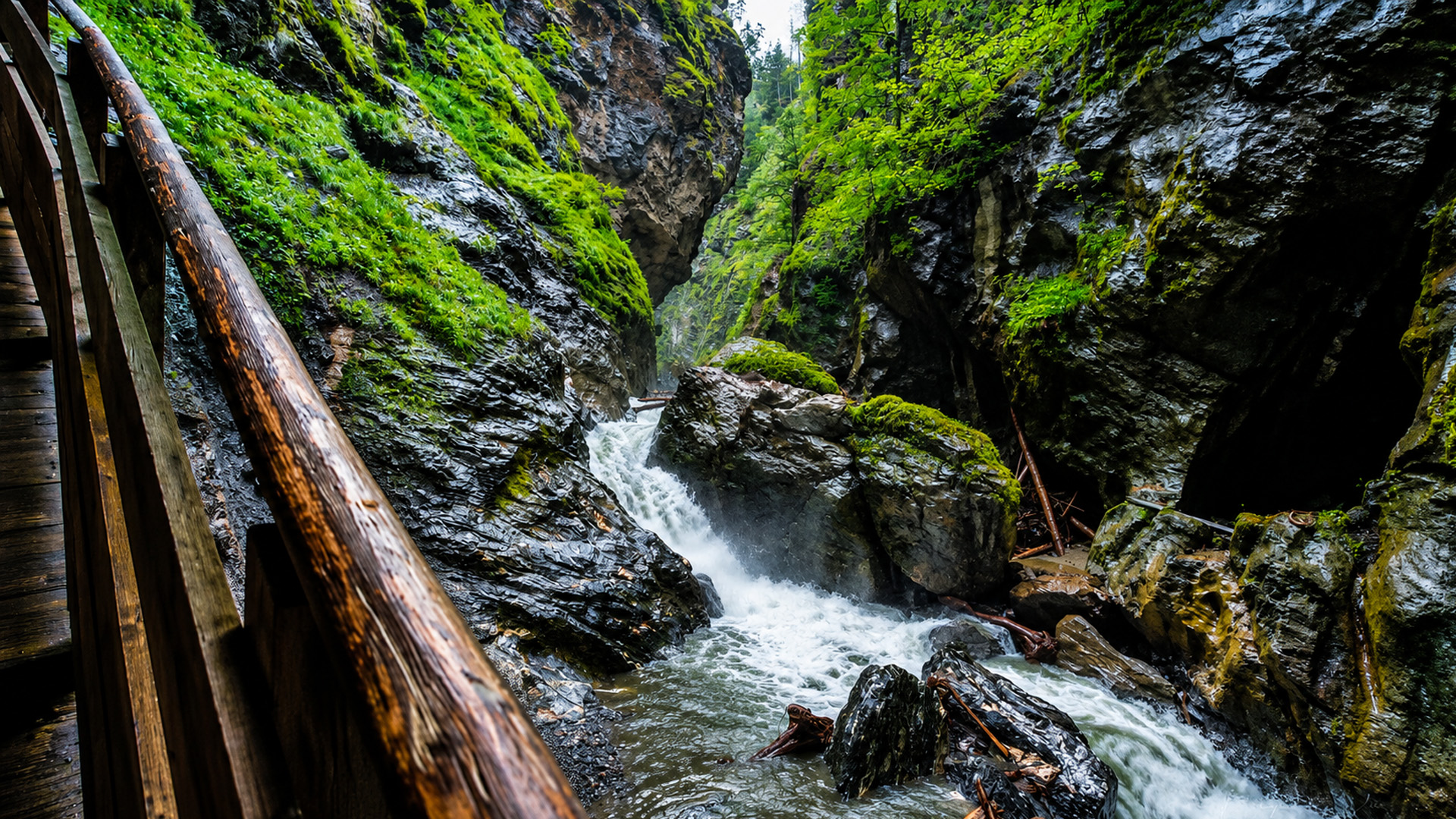 Experience the roaring beauty of Liechtensteinklamm Austria (4K)