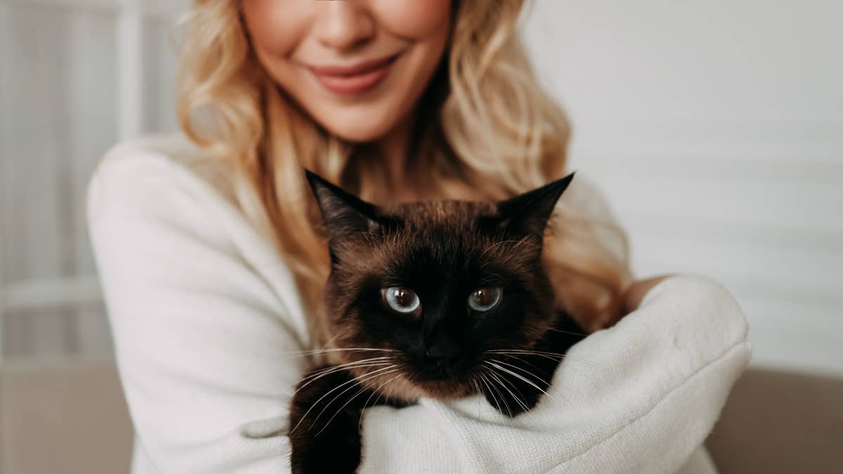 Discover 7 personality traits of cat lovers, according to psychologists