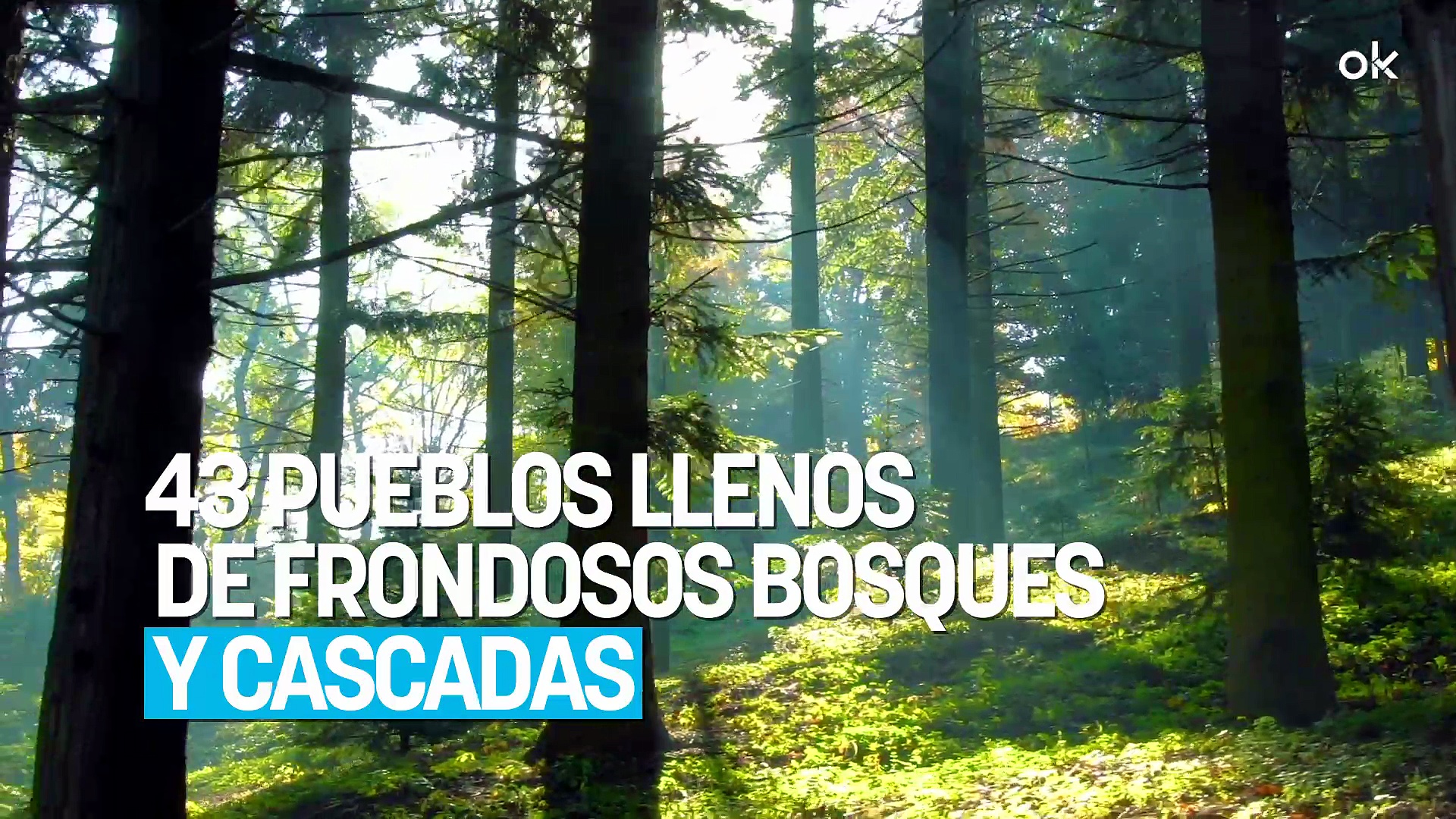 Casi nadie la visita pero dicen que es "la Selva Negra española": 43 ...