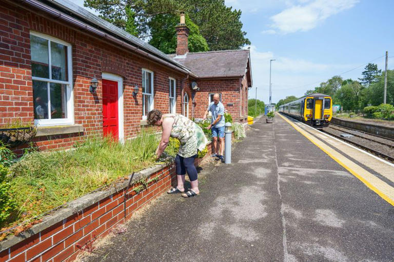 We live in our dream home where 12 trains stop every day