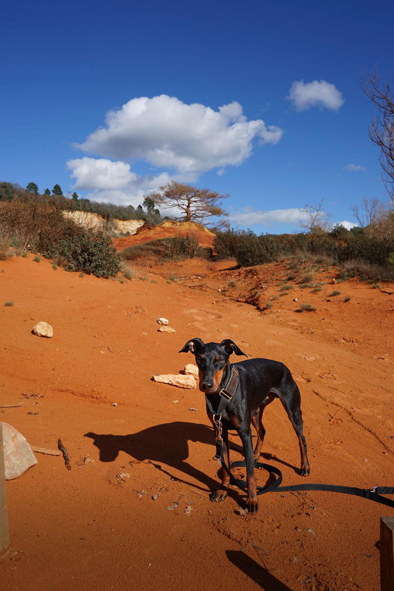 A pet-friendly beer museum!: The 5 best European holiday destinations ...