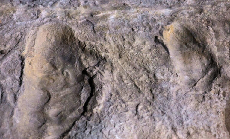 Ancient footprints reveal a different early human relative walking ...