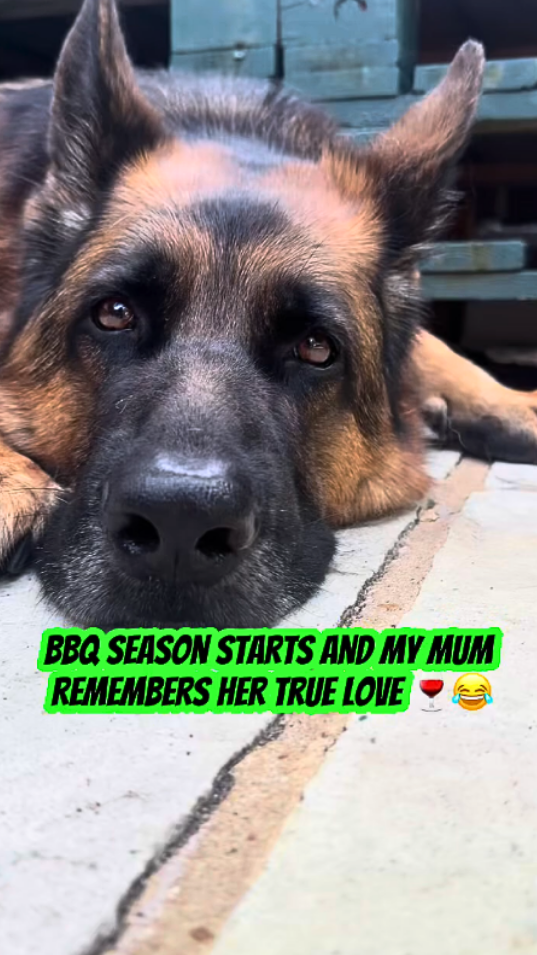 BBQ Season Starts Mum Remember Her True