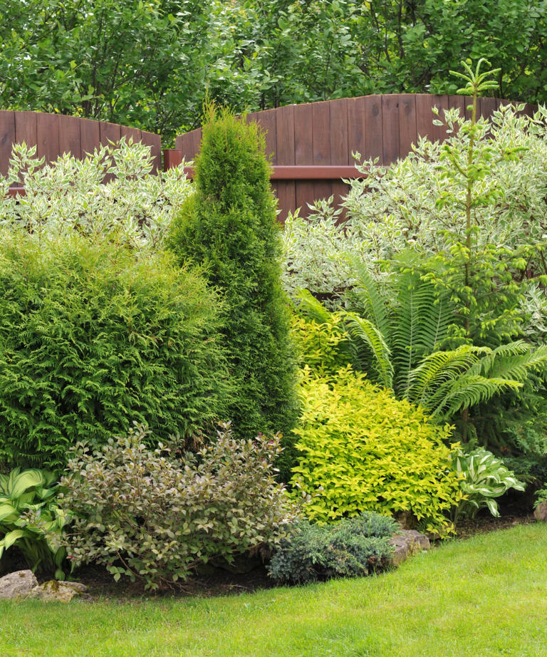 Designers are ditching all-white gardens – these gentler color palettes ...