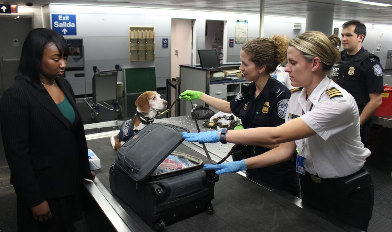 Customs seized items from my luggage even though I thought they were ...