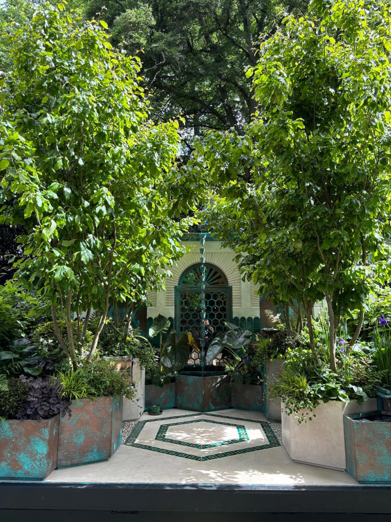 I have a small London garden — these Chelsea Flower Show ideas changed ...